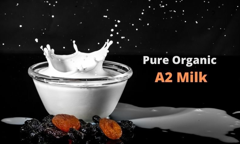 Get Immunity Booster Milk in Gurgaon - We Are Gurgaon