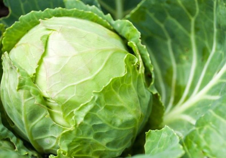 Interesting Food Facts That Will Blow Your Mind | We Are Gurgaon